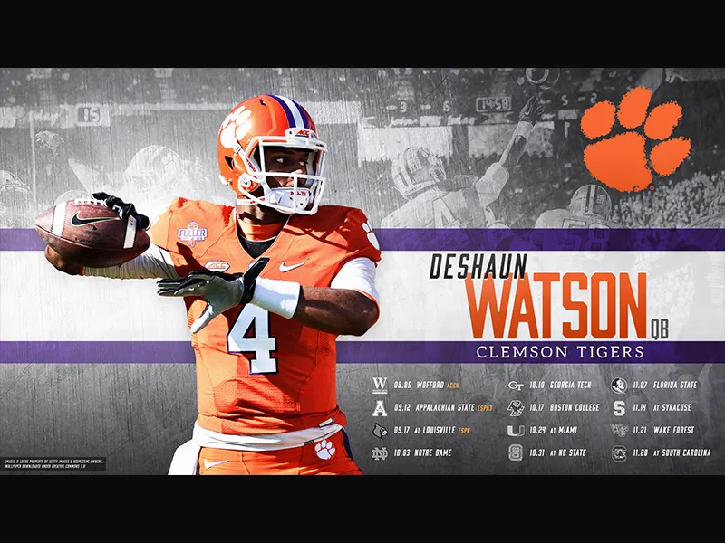 Clemson University designs, themes, templates and downloadable graphic ...