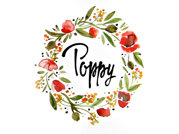 Poppy by aramisdream on Dribbble