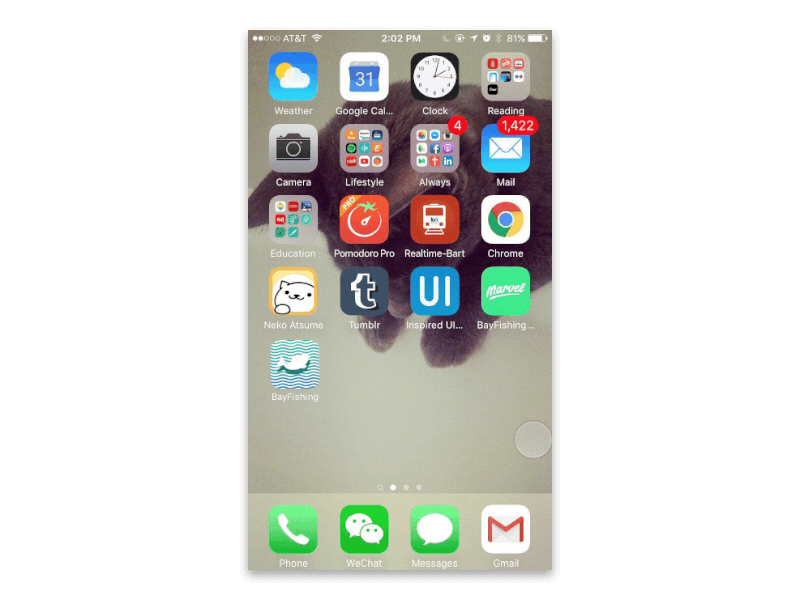 Open App Animation by Icey Deng (Xinyi) on Dribbble