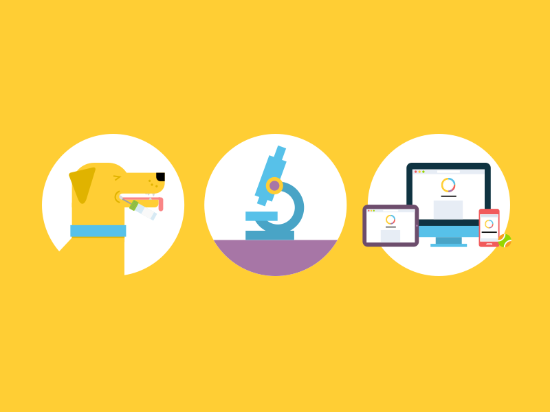 How It Works by Embark Veterinary, Inc. on Dribbble