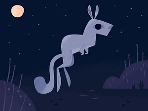 Springhaas by Alexander Vidal on Dribbble