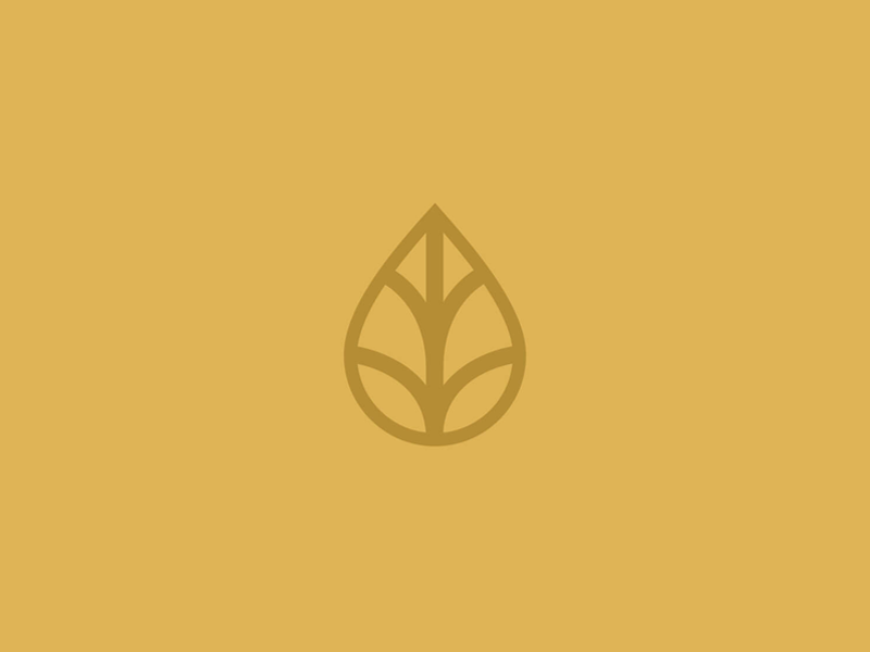 Brandi Branding by Raymond Aleman on Dribbble