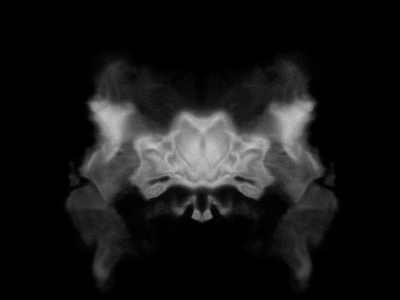 Browse thousands of Cat Scan images for design inspiration | Dribbble