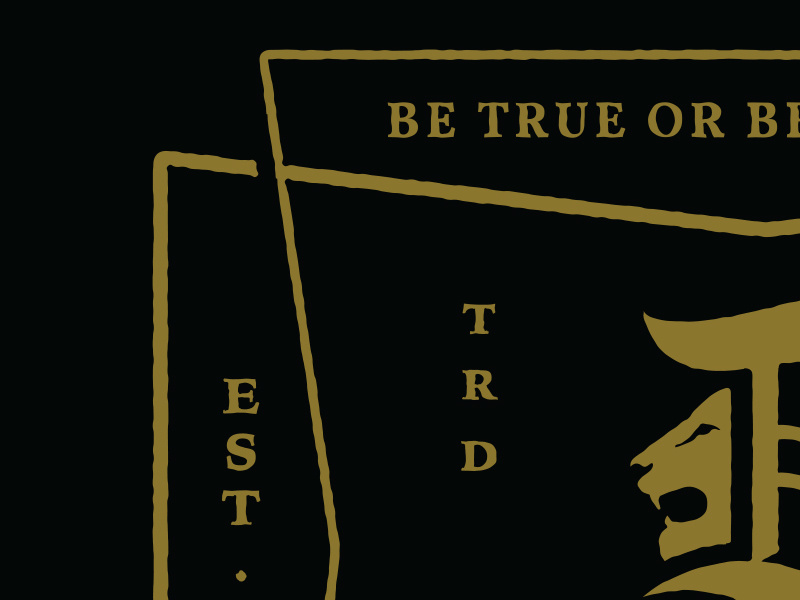 Possible shirt idea... by 𝐍𝐢𝐜𝐡𝐨 𝐕𝐚𝐥𝐚𝐝𝐞𝐳 on Dribbble