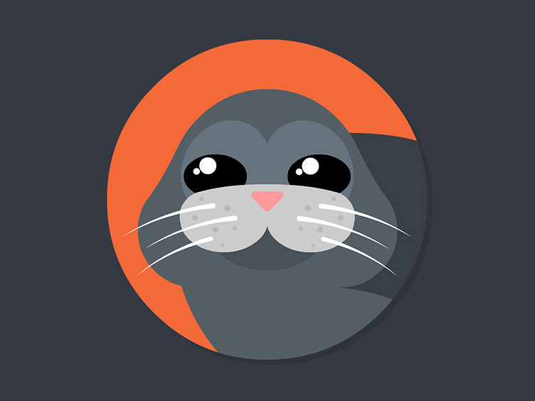 Jetbrains Clion icon by Yoolk on Dribbble