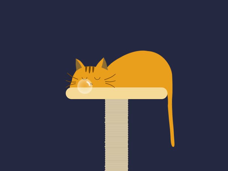 Browse thousands of Cat Animation images for design inspiration | Dribbble