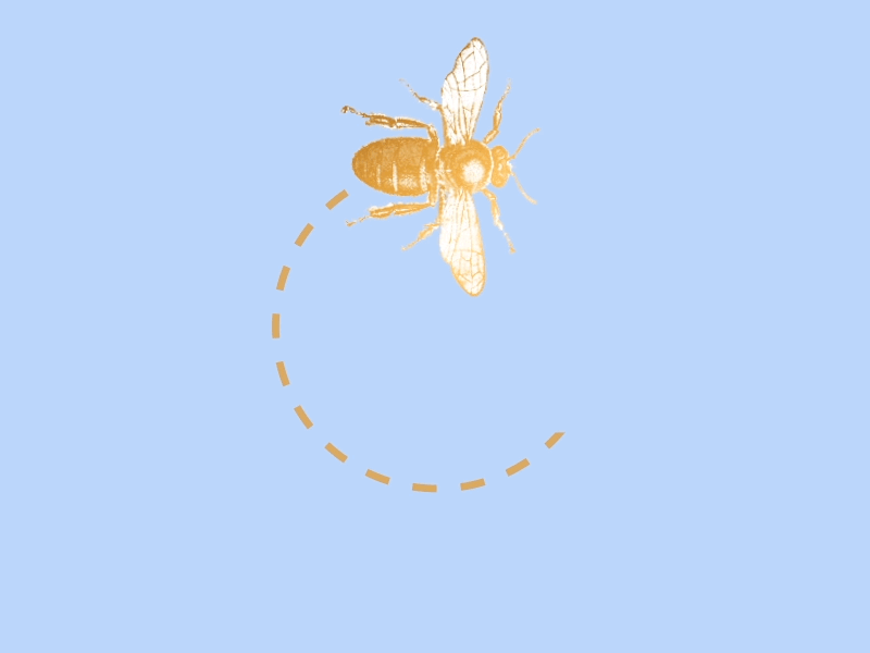 The bee loader by Laura Lonni on Dribbble