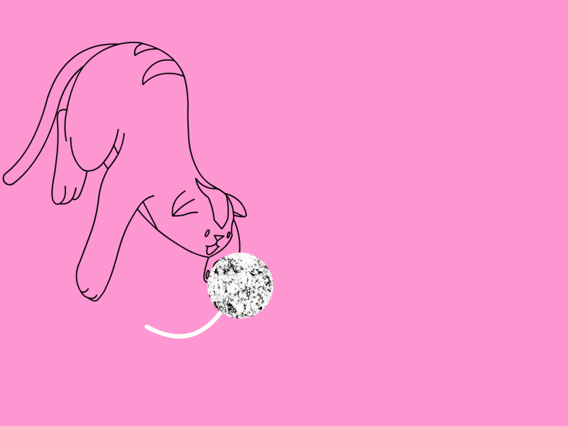 The Internet In One Gif