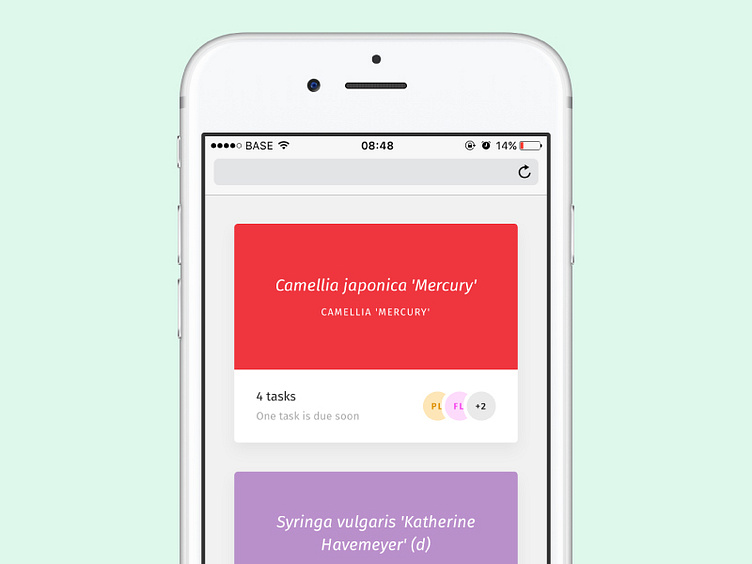 Sprout Cards V2 by Nicholas Hendrickx on Dribbble