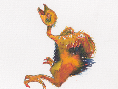 Bird by Wouter Viaene on Dribbble