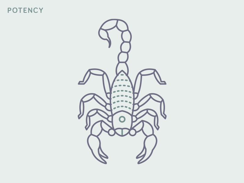 Taxonomy Icon System by Sara Lucaelo on Dribbble