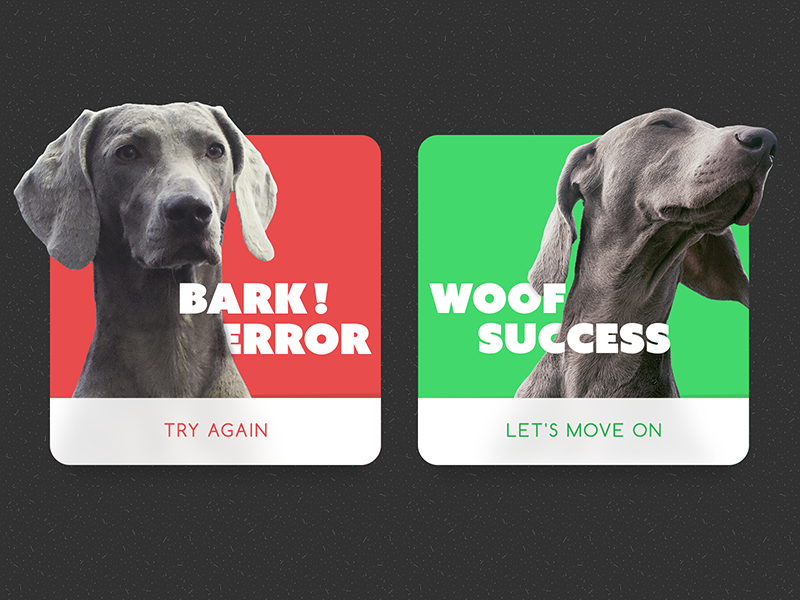 Flash Message (Error/Success) by Martin Baldowski on Dribbble