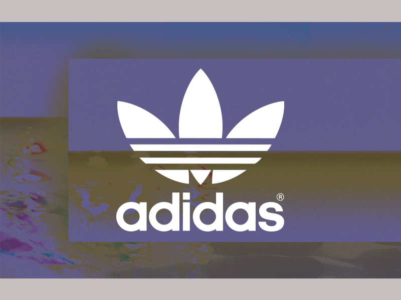 adidas by Zach Halfhill on Dribbble