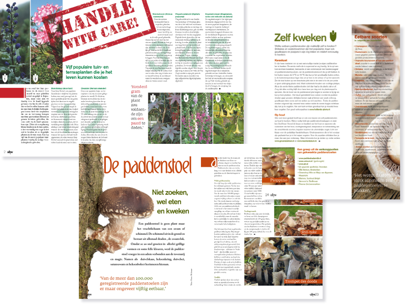 Magazine articles by Joyce Kroon on Dribbble