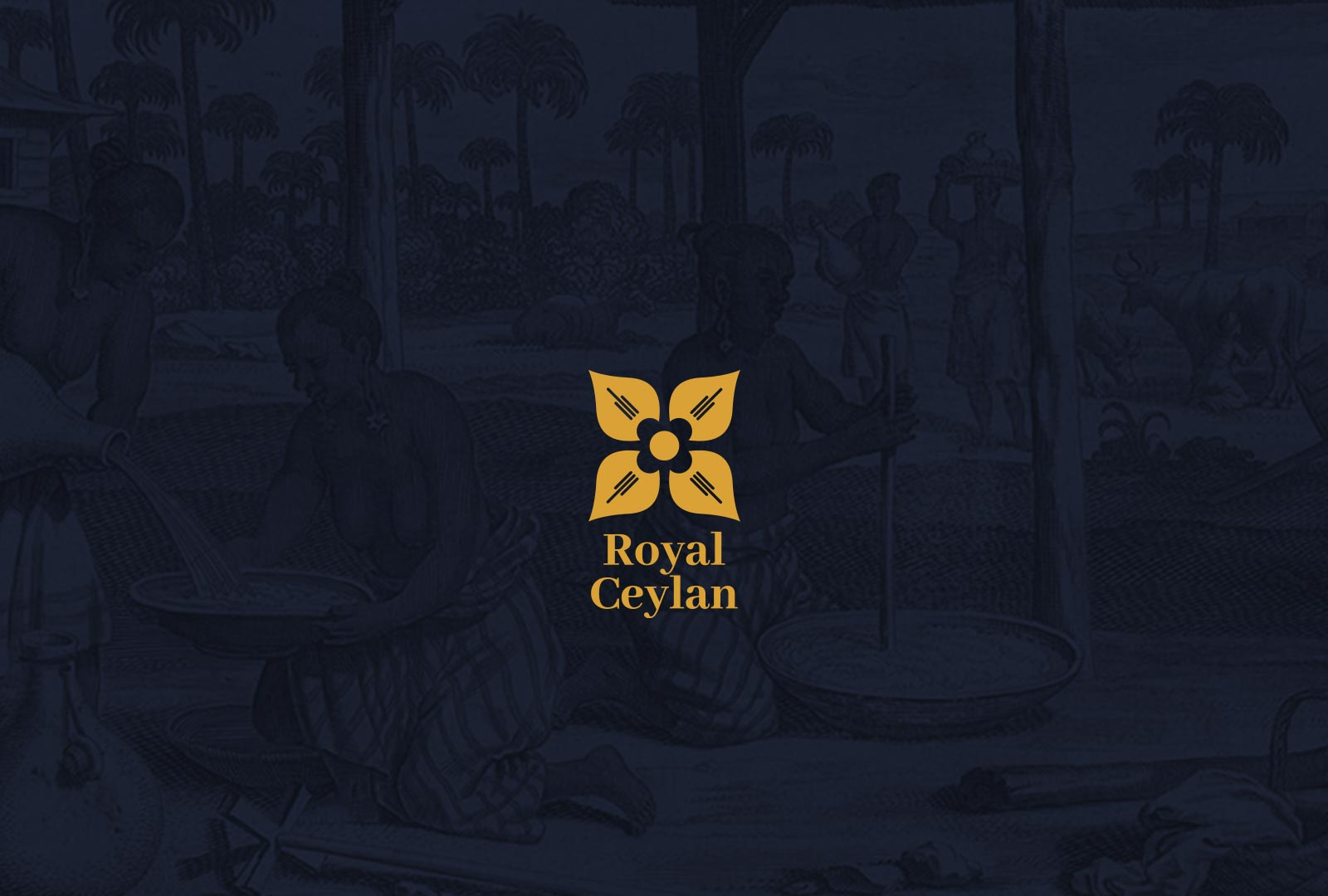Royal Ceylan - Logo Design by Sahan Peiris on Dribbble
