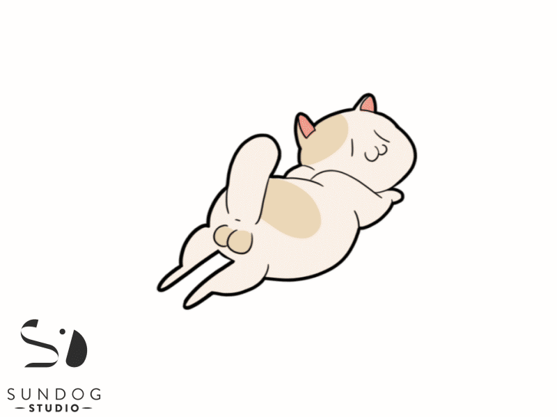 Studio Sundog | Dribbble