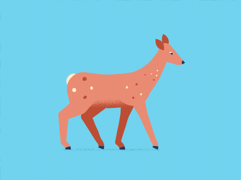 No I Deer by Shorts & Tales on Dribbble