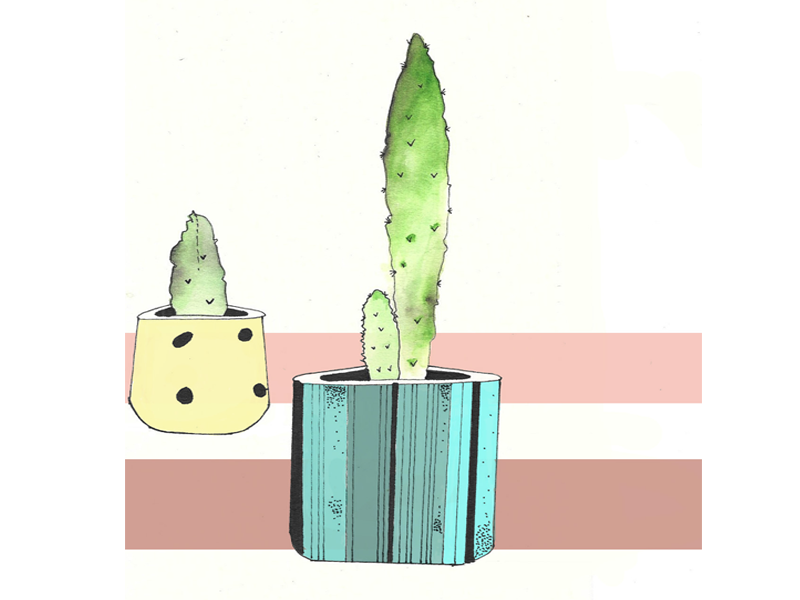 Planter series- 11 by Maleka Rangwala on Dribbble