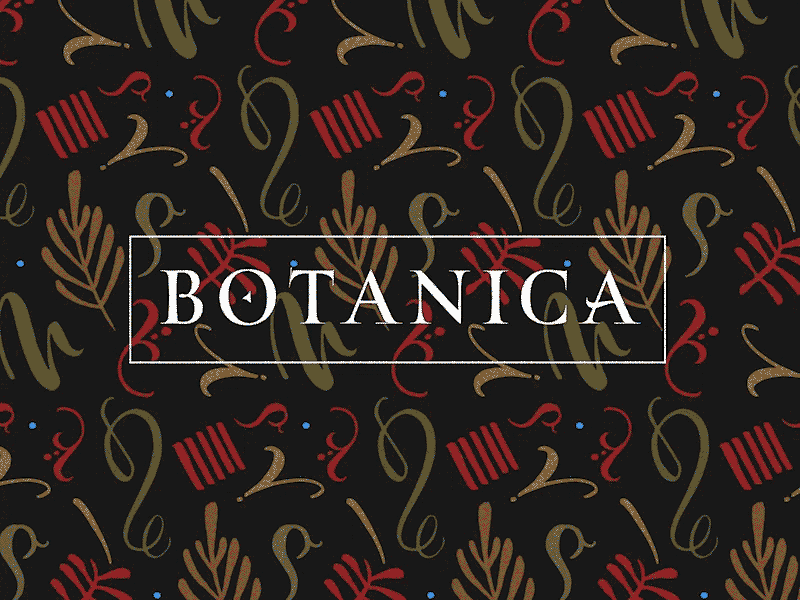 Botanica by Giuseppe Salerno on Dribbble