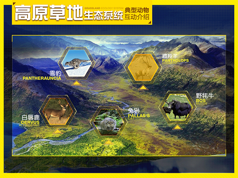 Plateau Grassland Ecosystem designs, themes, templates and downloadable ...