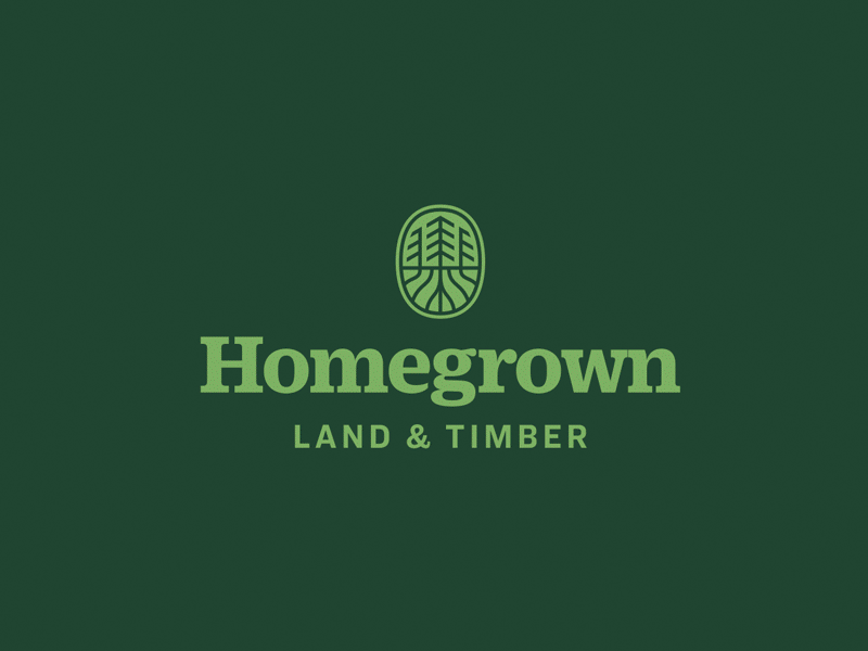 HLT by Ryan Harrison on Dribbble