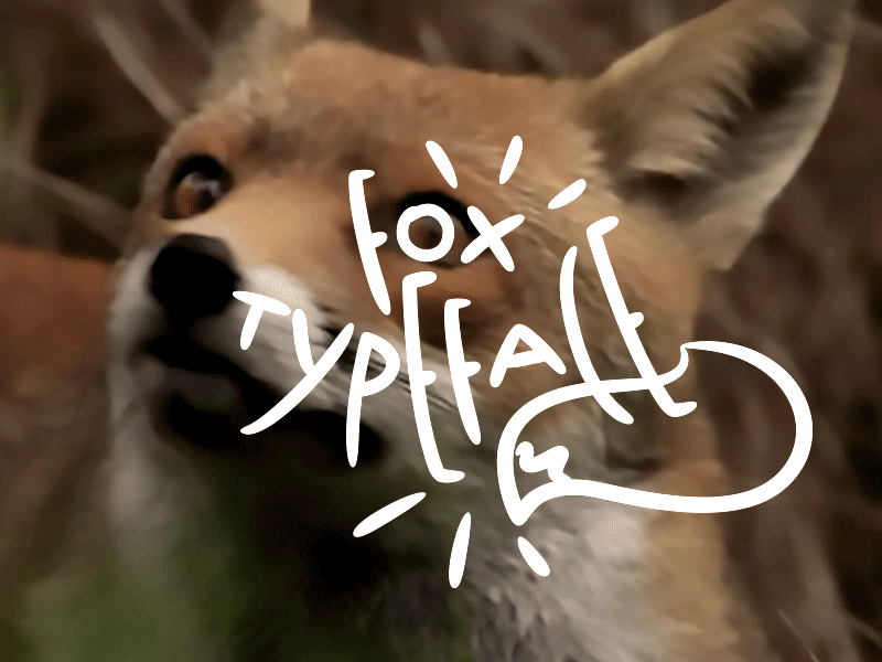 Fox Typeface 🦊 by Tereza Cenic on Dribbble