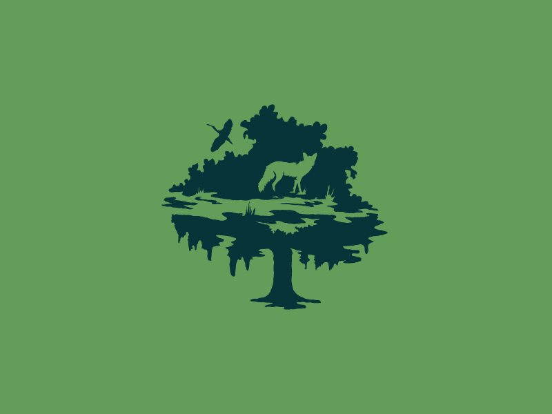 Hidden figures 2/3 by Chris Ladwig on Dribbble