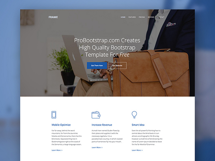 Probootstrap Frame (FREE HTML) by Joefrey Mahusay on Dribbble