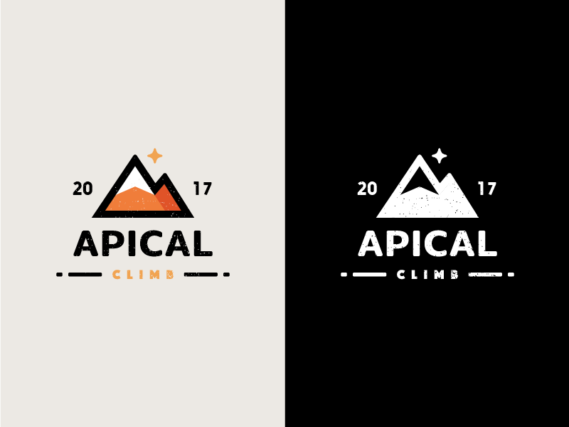 Apical Logo Mark by Chris Owens for Canvas on Dribbble