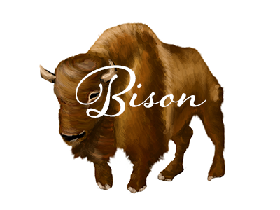 Bison Logo by Josh Woodruff on Dribbble