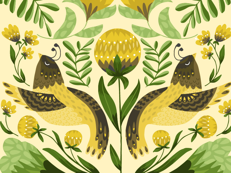 Birds by Sterre Hendriks on Dribbble