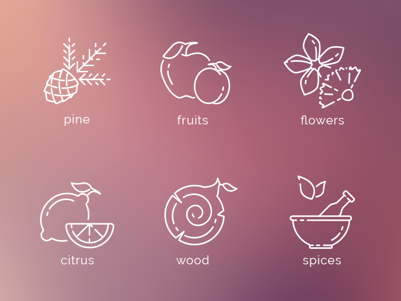 Flavors icons by Svetlana Zharskaya on Dribbble