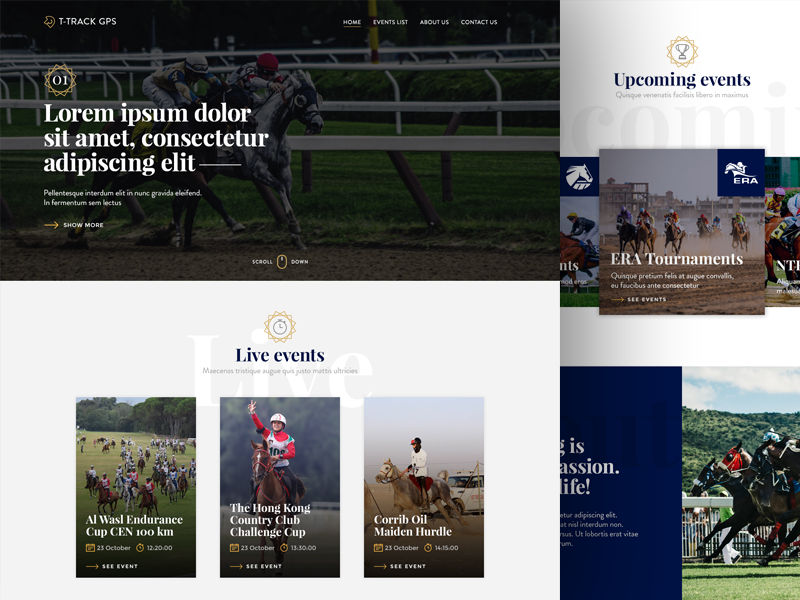 Racehorse tracking service - Landing page by Teodor Dimitrov on Dribbble