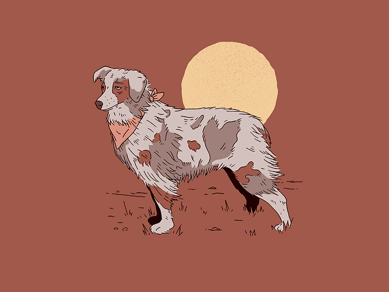 Mini Aussie by Zach Shapiro on Dribbble
