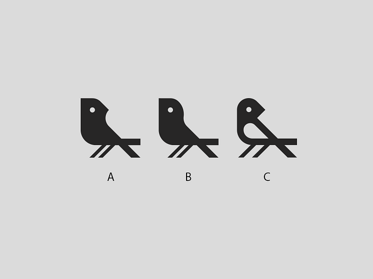 Bird Study by Sadawy on Dribbble