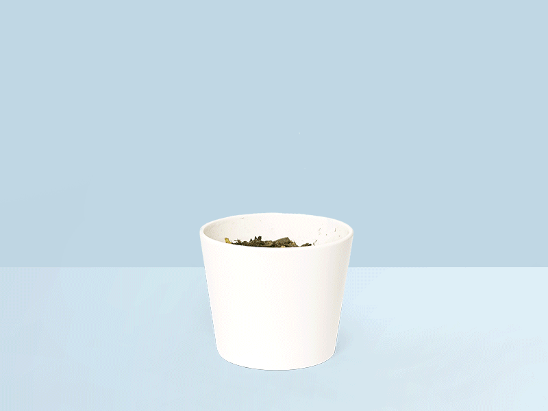 Yuan Hooi | Dribbble