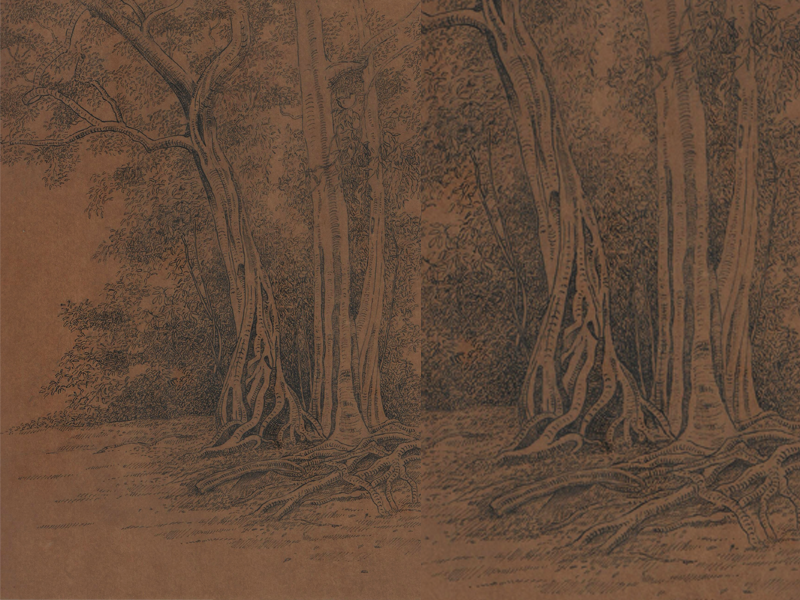 Mihintale_Pen_and_Ink_Drawing_Series by EDIFÉ on Dribbble