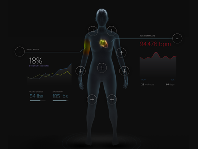 Interactive body by Thomas Moeller on Dribbble