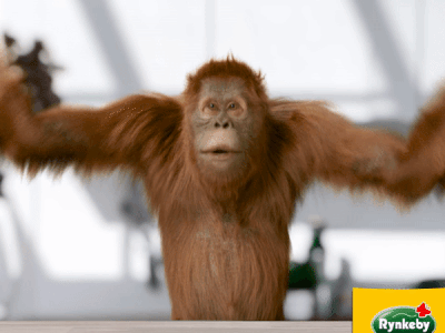Applause Gif Animated Ape