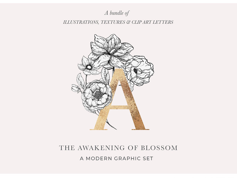 Awakening Floral Graphics & Letters by Graphics Collection on Dribbble