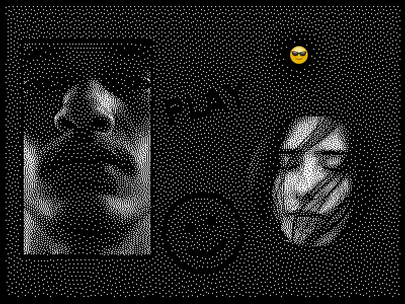 Bitmaps / zoom me by Cecilia Erlich on Dribbble