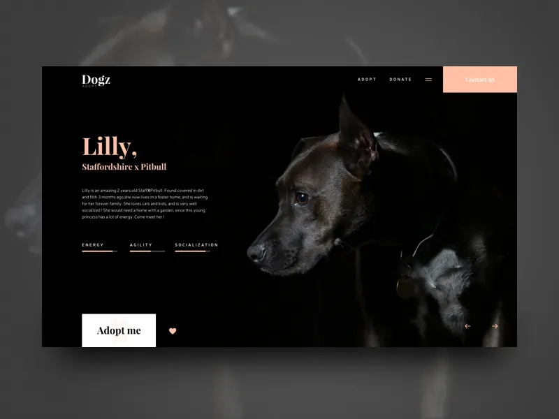 Alex Pieterman | Dribbble