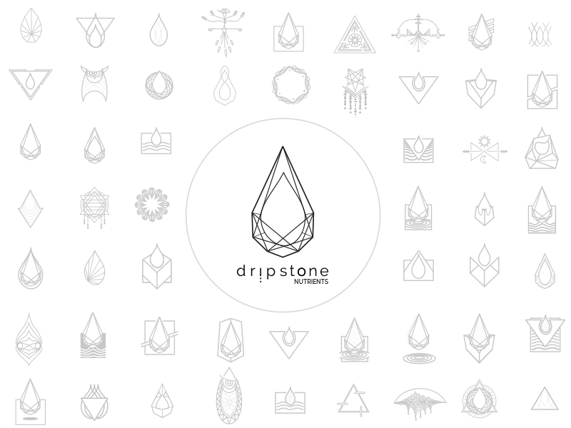 Dripstone logo design by Bravecreation on Dribbble