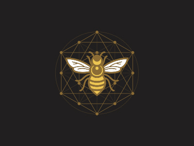 Kaiso by merci on Dribbble