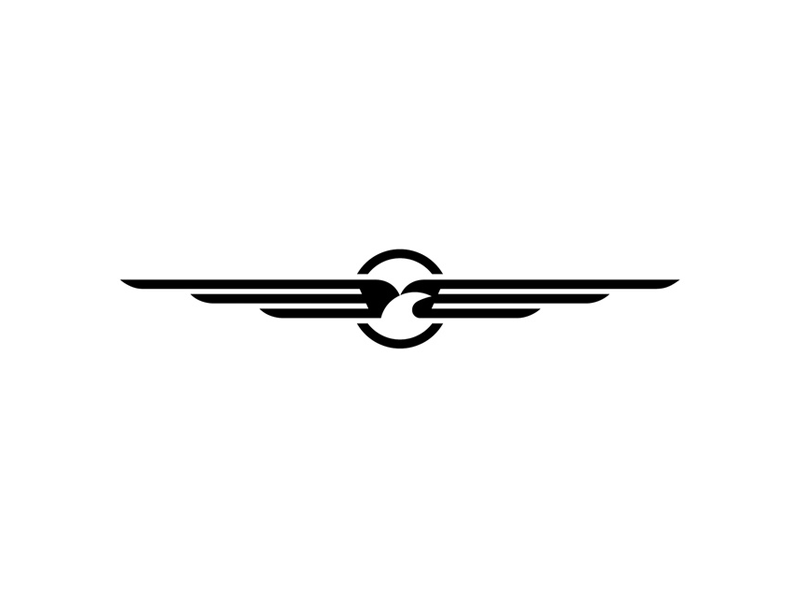 Executive Aircraft Logo by James Strange on Dribbble