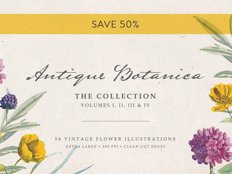 Antique Botanica Bundle designs, themes, templates and downloadable ...