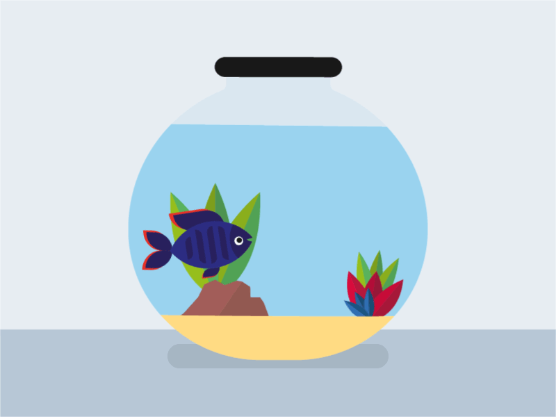 Elon swimming around by José Pablo Iglesias on Dribbble