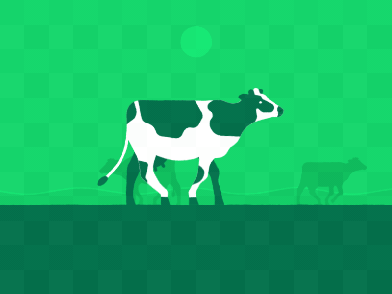 Cow Walking by Guilherme Gomes for Cub Studio on Dribbble