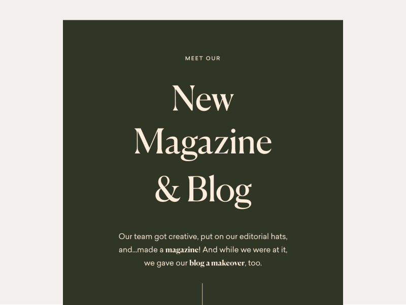 Browse thousands of Launch Email images for design inspiration | Dribbble