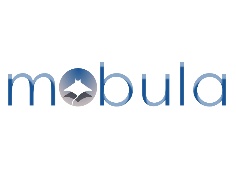 Mobula Logo 1 by Hande Basargun on Dribbble